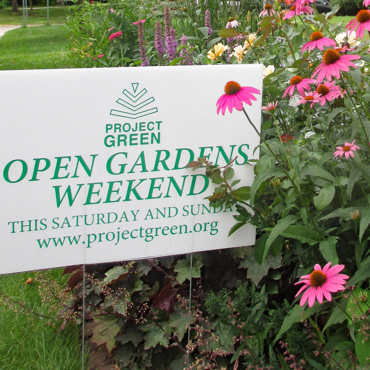 Project Green – Project GREEN Iowa City